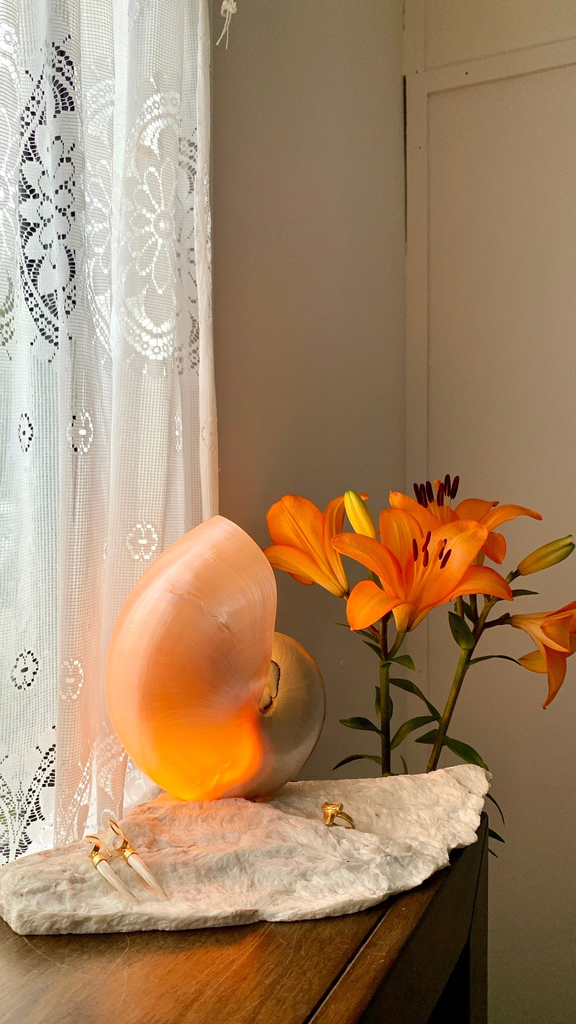 All Products – Page 2 – Shellamps