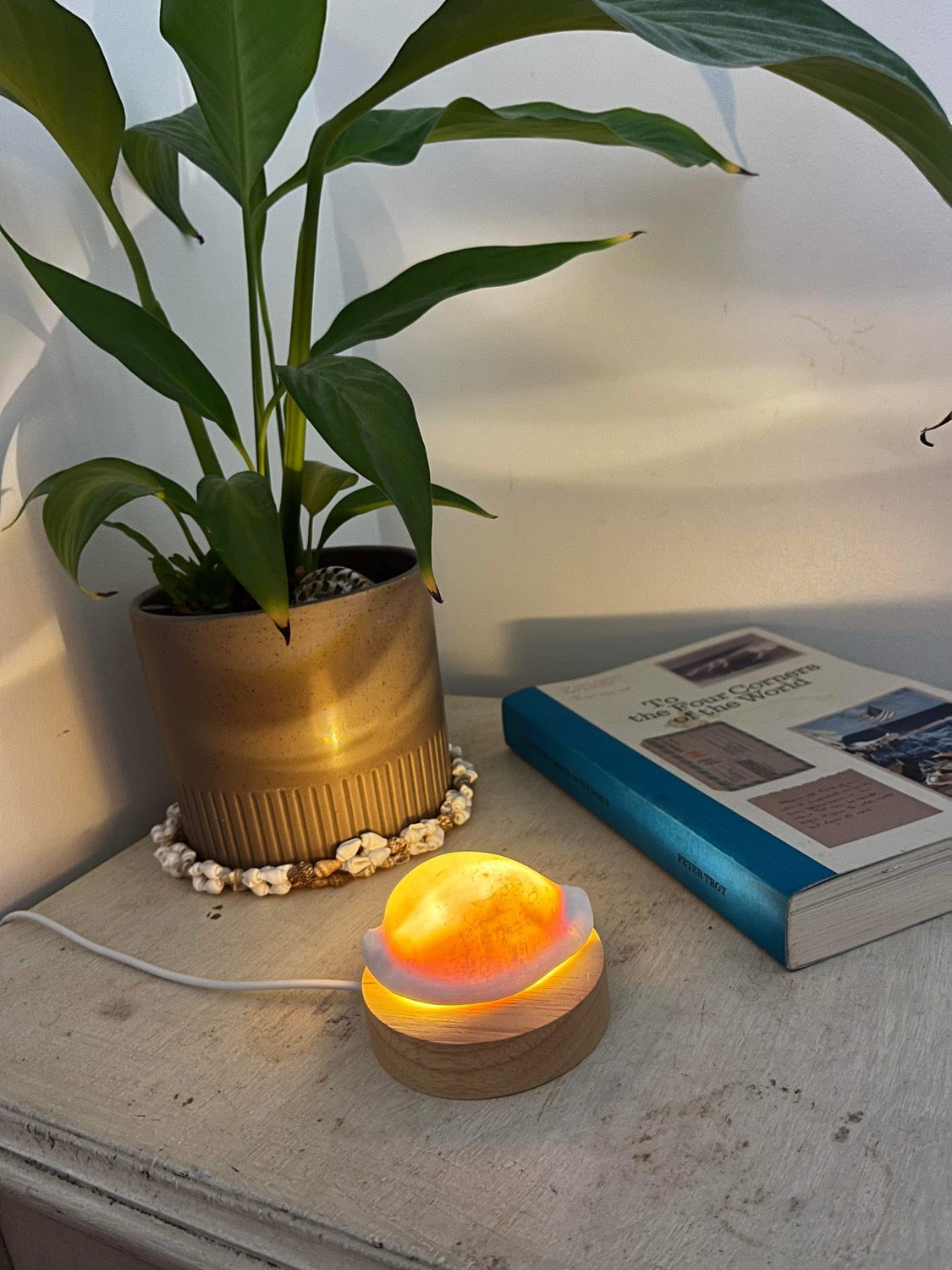 Products – Shellamps