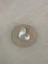 Pearl Nautilus wall sconce – Shellamps