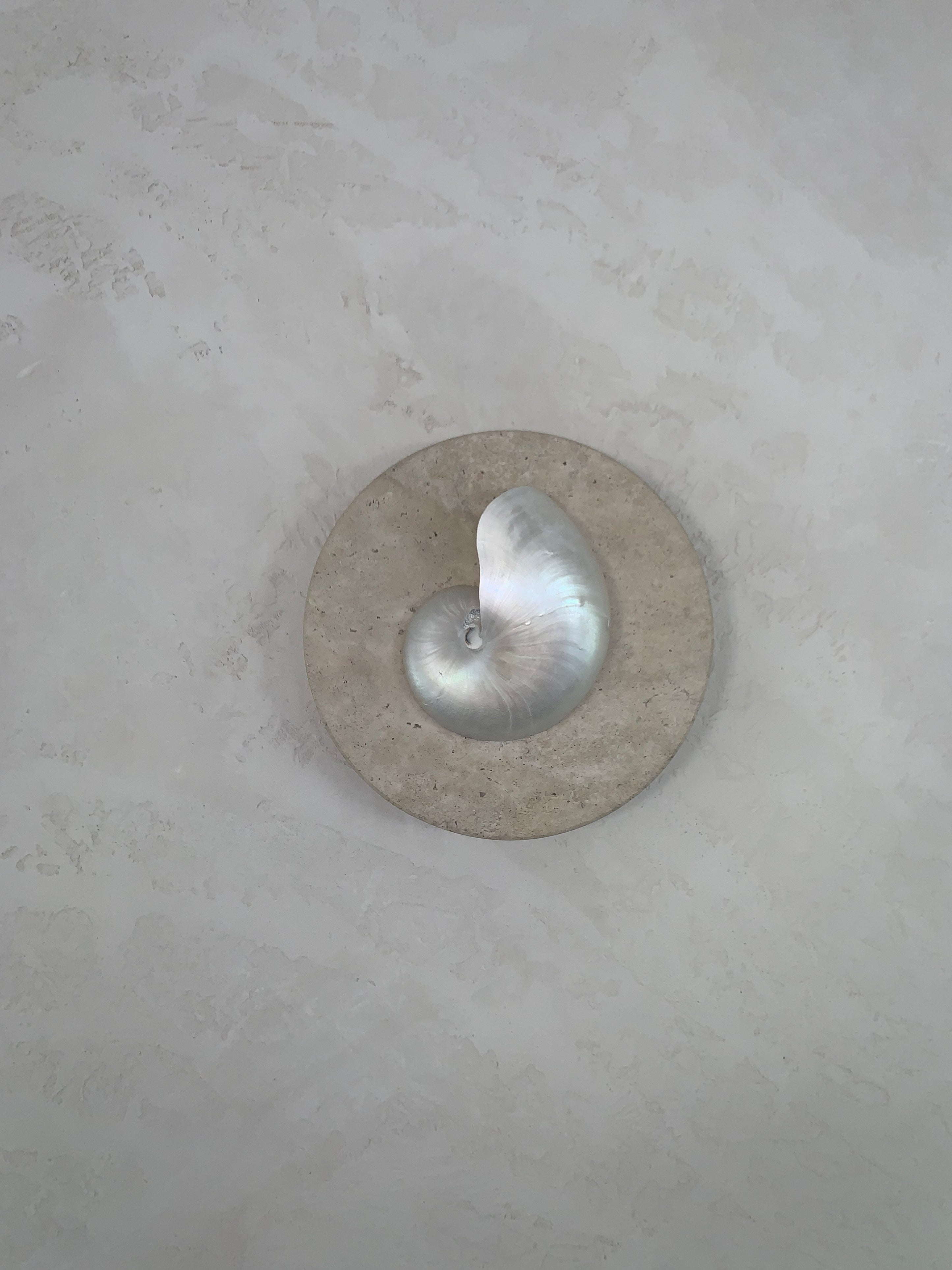 Pearl Nautilus wall sconce – Shellamps